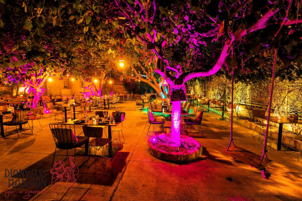 Dionysus Mansion, Lemesos, Limassol, Cyprus - Main Menu - Κατάλογος - Wolf